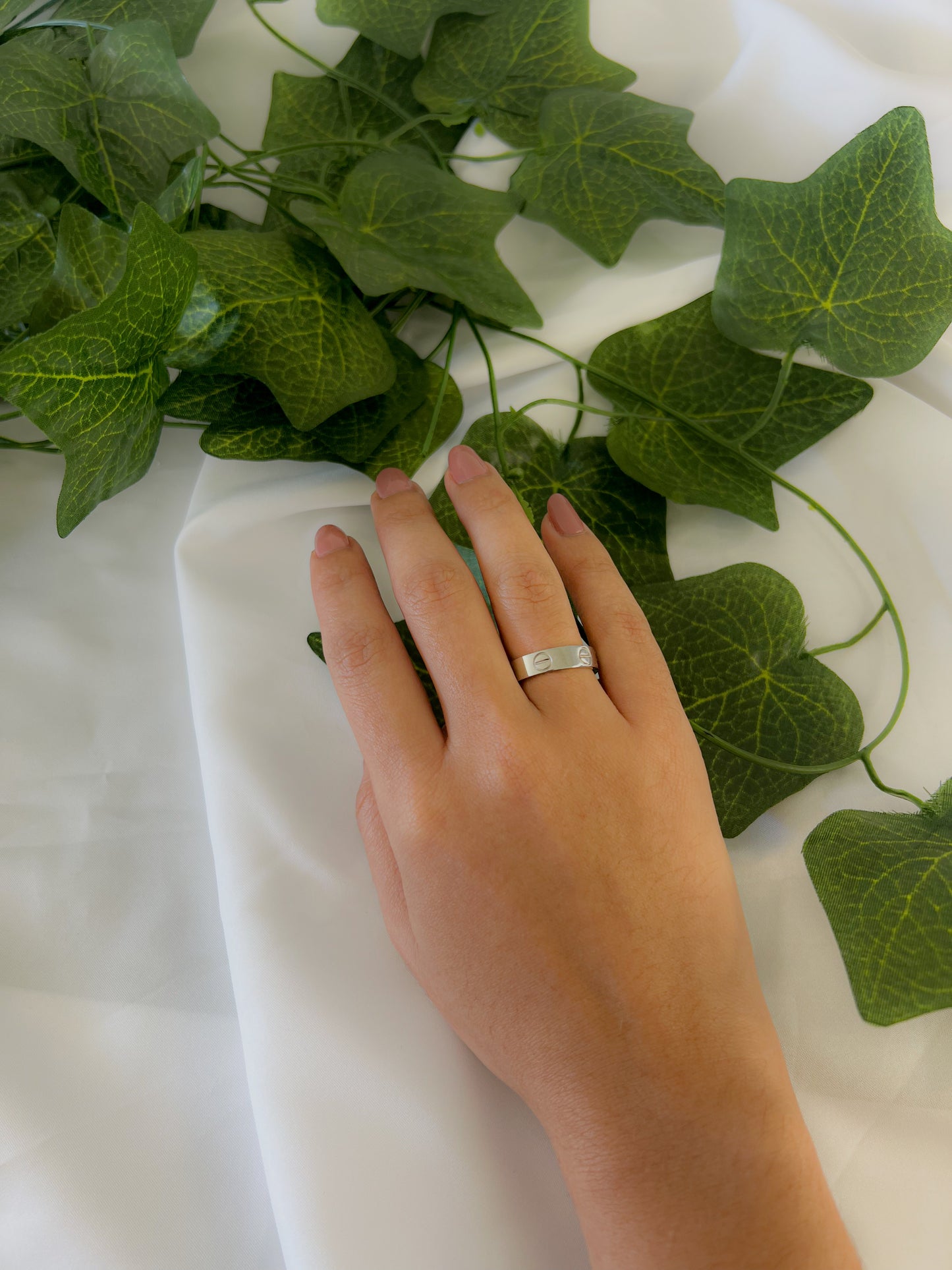 Anillo Case – A-Iuvenis Store